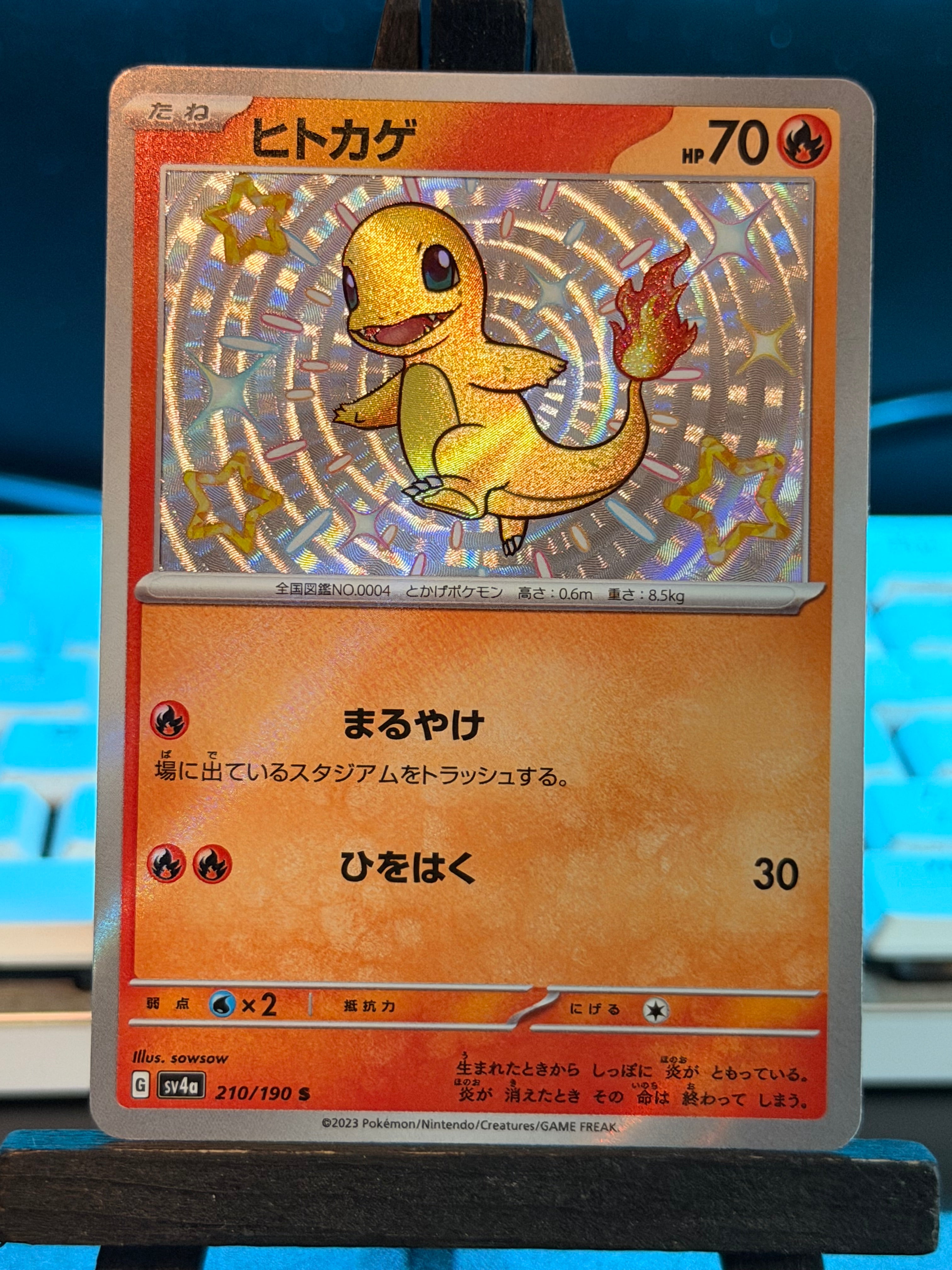 Charmander Baby Shiny 210/190 Shiny Treasures Pokémon Card - Japanese ...
